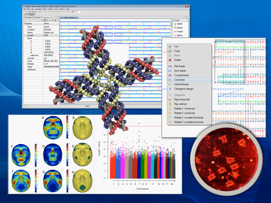 Parabon NanoLabs: Engineering DNA for Next-Generation Therapeutics and ...